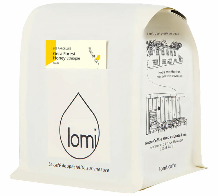 Organic Specialty Coffee Beans Ethiopia Gera Forest Honey - 250g - Café Lomi