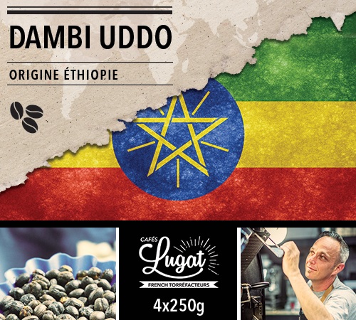 1kg Moka Dambi Uddo Ethiopian coffee beans - Cafés Lugat