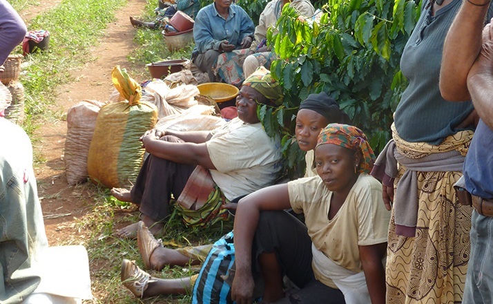 Coffret Cameroun - 3 cafés en grains x 250g - Cafés Lugat